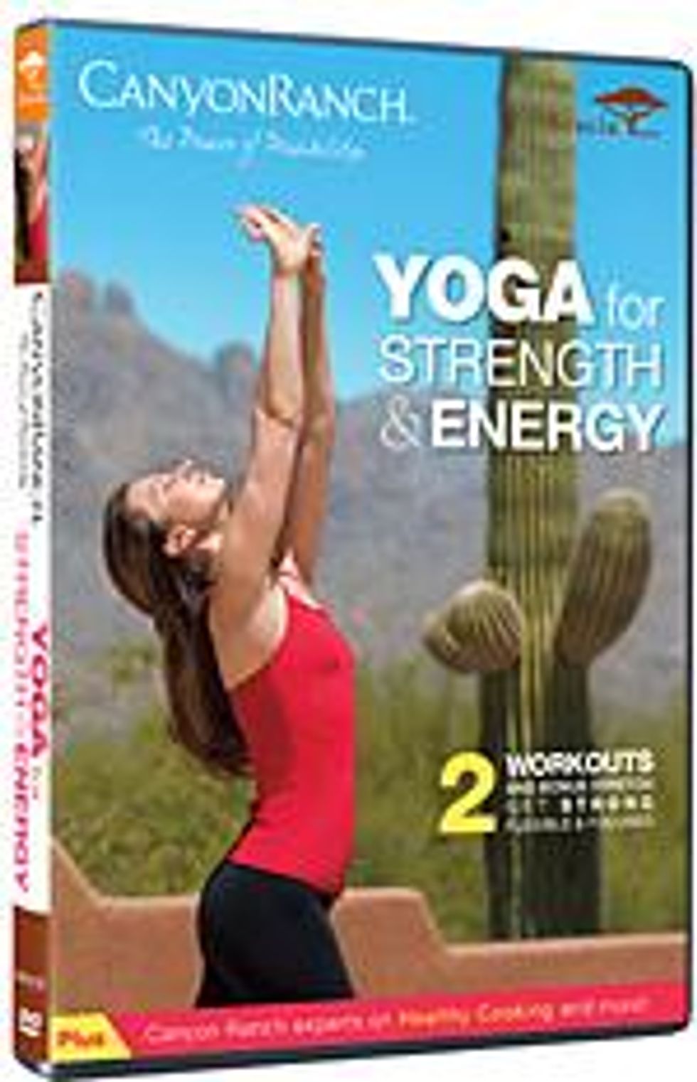 Get Fit for the New Year With 11 Great New Workout DVDS | Advocate.com