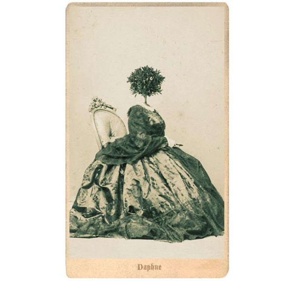 Artist Spotlight: David Trullo | Advocate.com