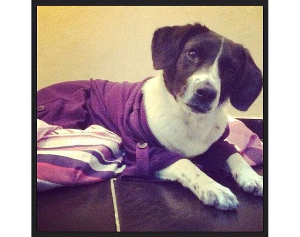 Who Wore Purple on #SpiritDay?