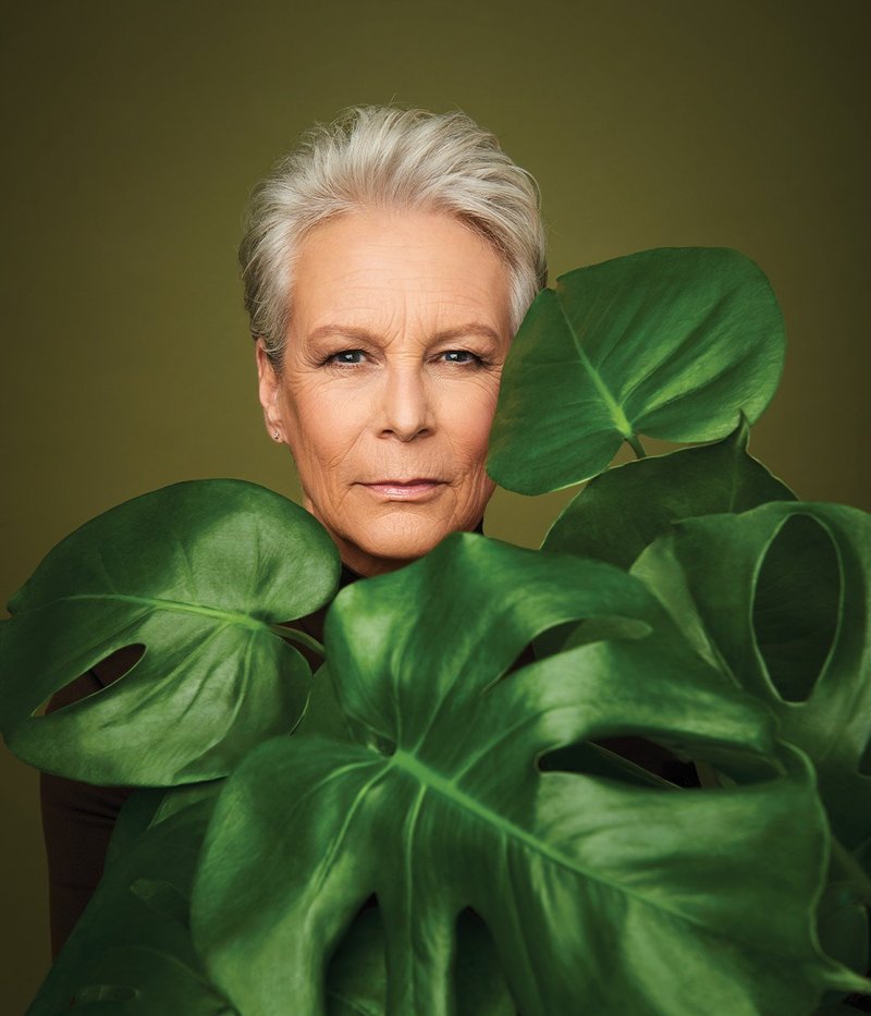 Jamie Lee Curtis De Mist Jamie Lee Curtis Mingles With Pal Jennifer