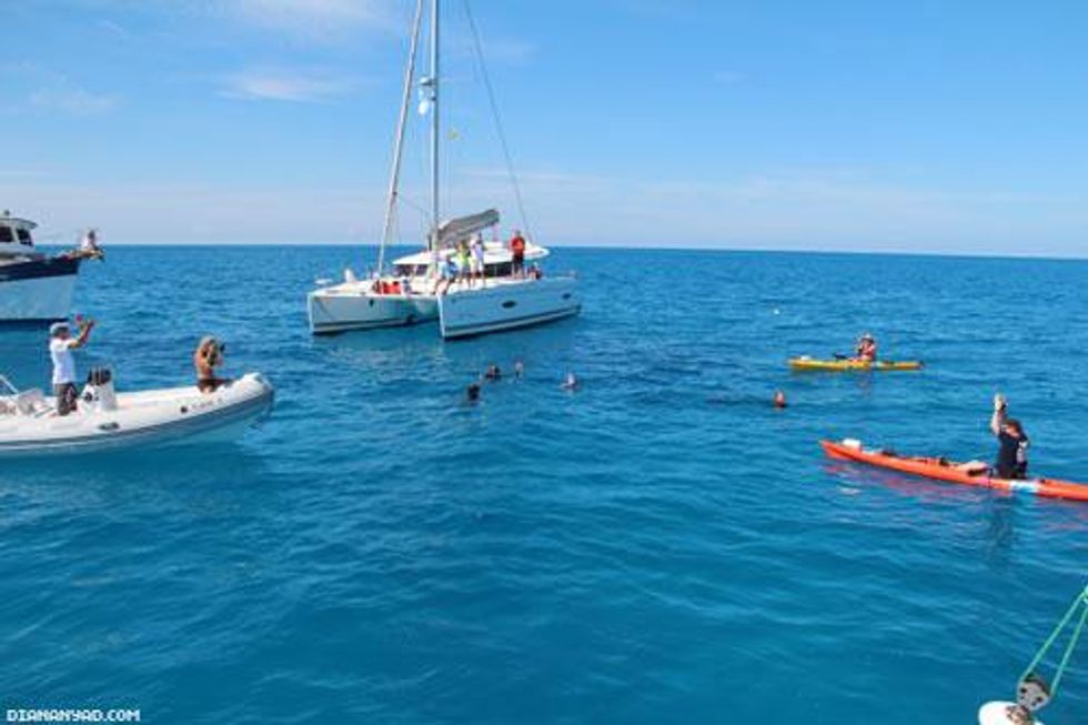 Diana Nyad Never Gave Up, Made History