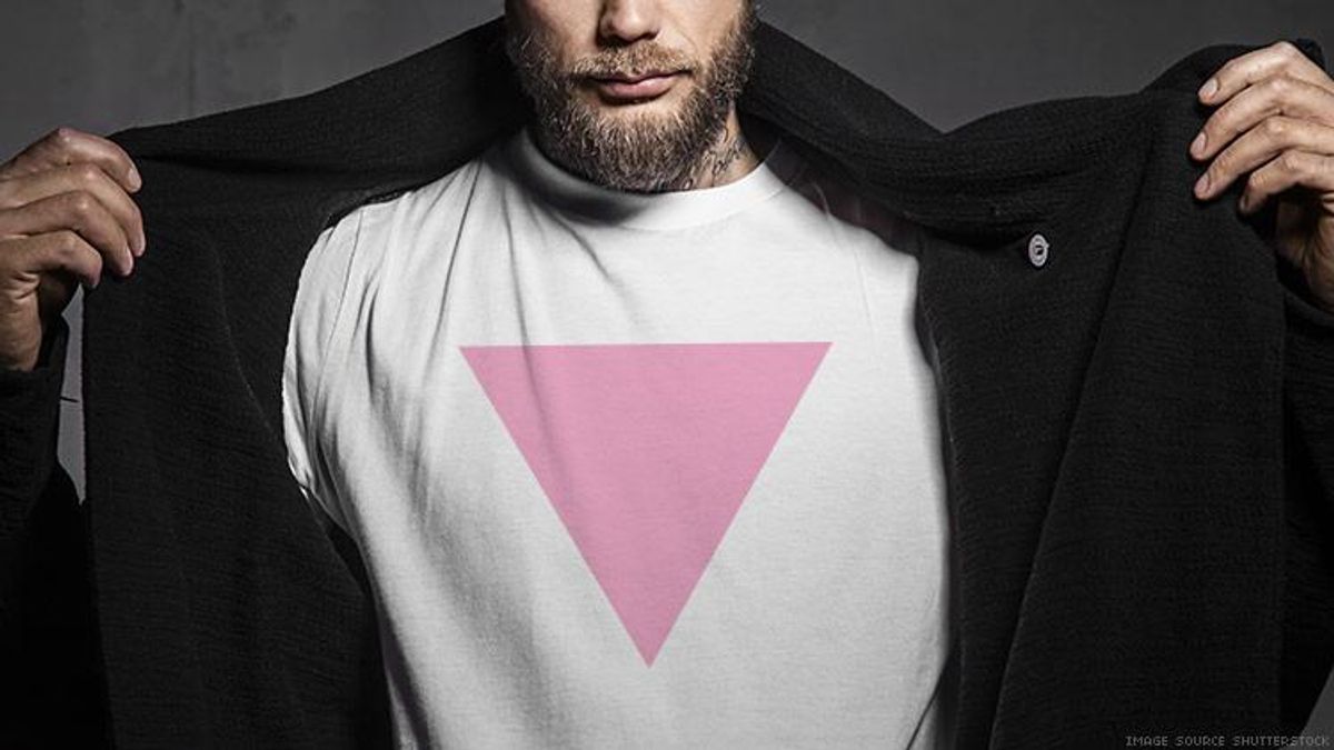Never Forget the Meaning of the Pink Triangle