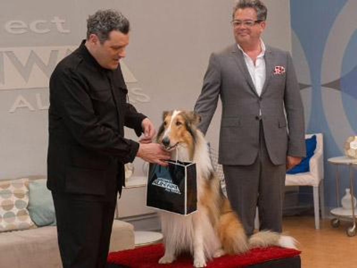 PHOTOS: Project Runway's Most Beautiful Judge Ever