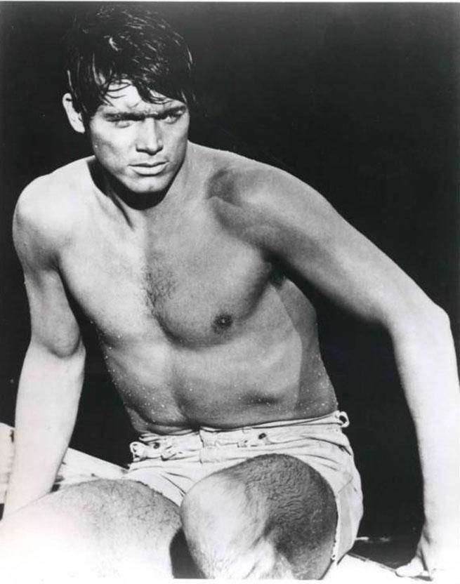 Hollywood Hunks Laid Bare: 1960s-1970s