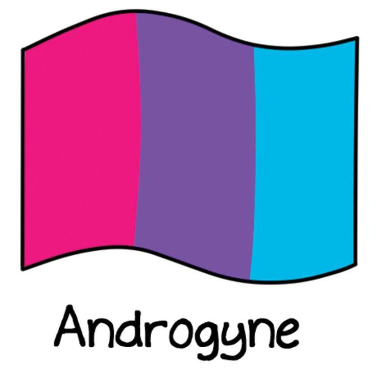 30 Pride Flags You Should Know