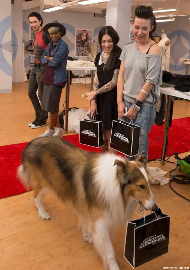 PHOTOS: Project Runway's Most Beautiful Judge Ever