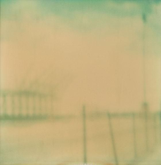 Artist Spotlight Susan Mikula