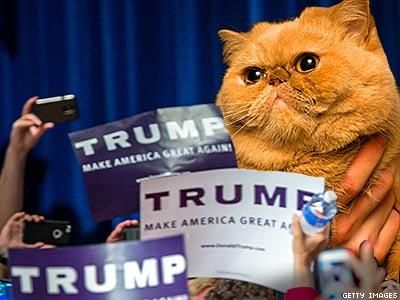 18 Presidential Candidates — As Depicted By Cats