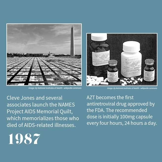 History of a Pandemic