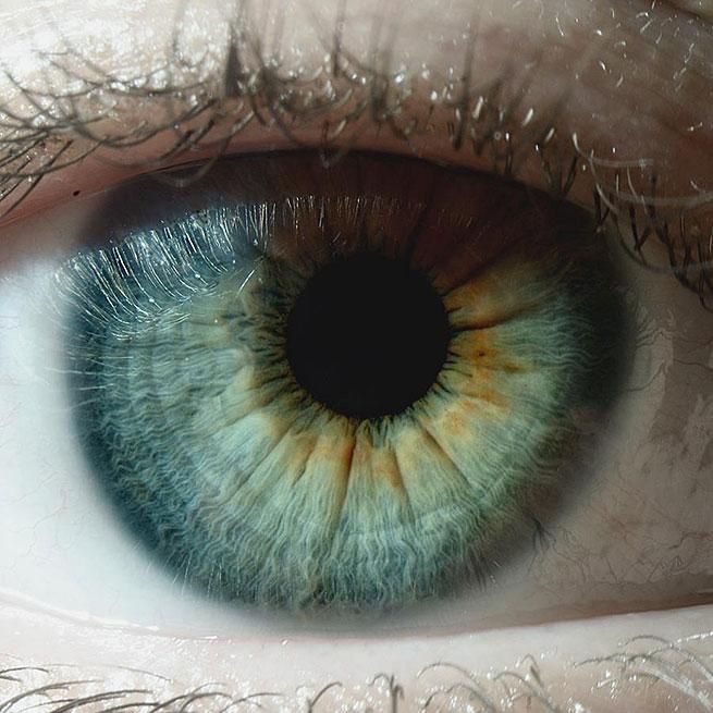 Artist Spotlight: Javier Rey