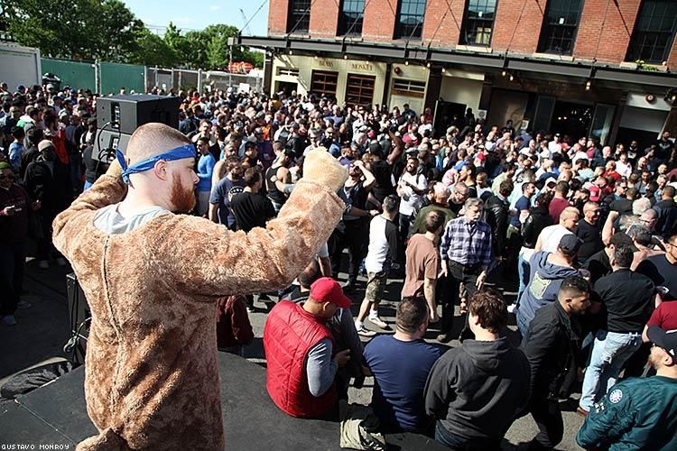 110 Photos of Bears In an Urban Habitat
