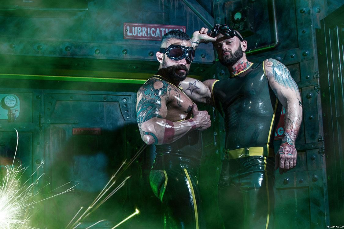 Bears Behaving Badly (Photos)