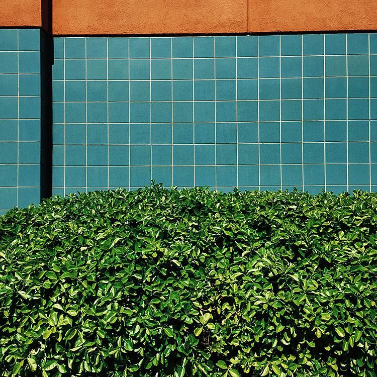 Cole Witter Is Infatuated With Beauty