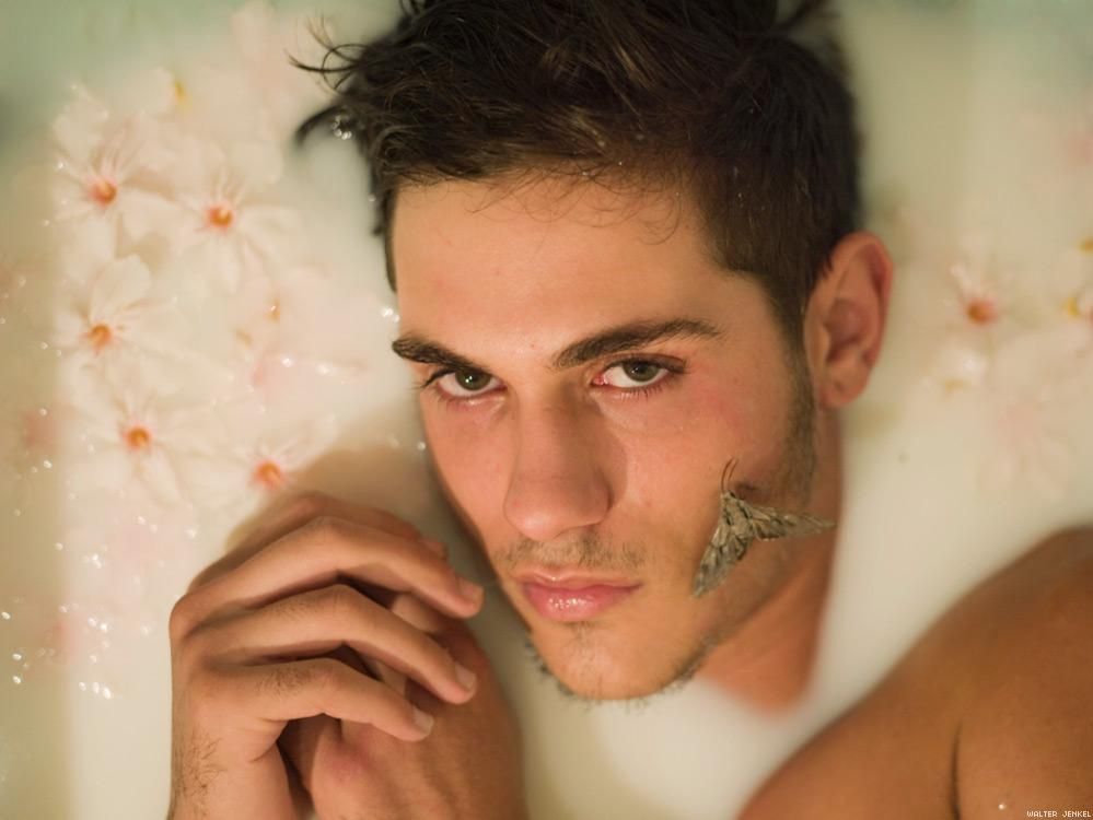 All Creatures Great and Small (Photos)