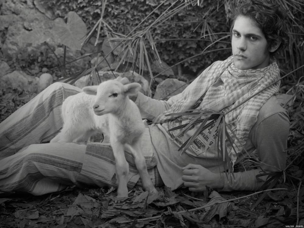 All Creatures Great and Small (Photos)