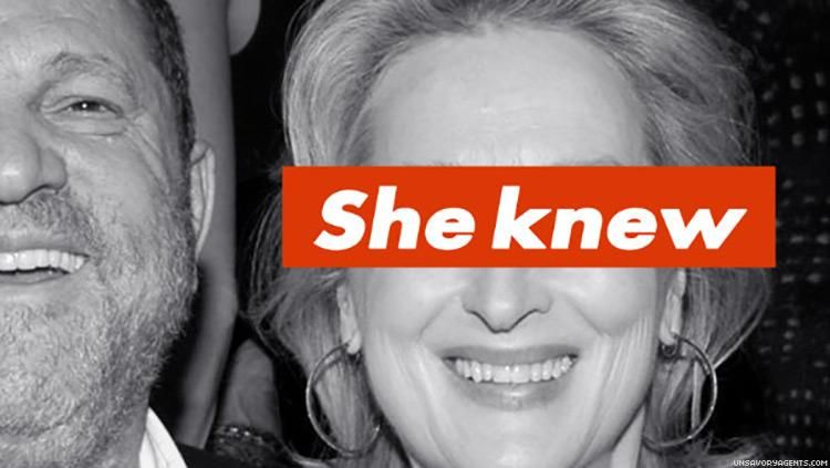 Right-Winger Erects 'She Knew' Meryl Streep Posters to Get Back at Her ...