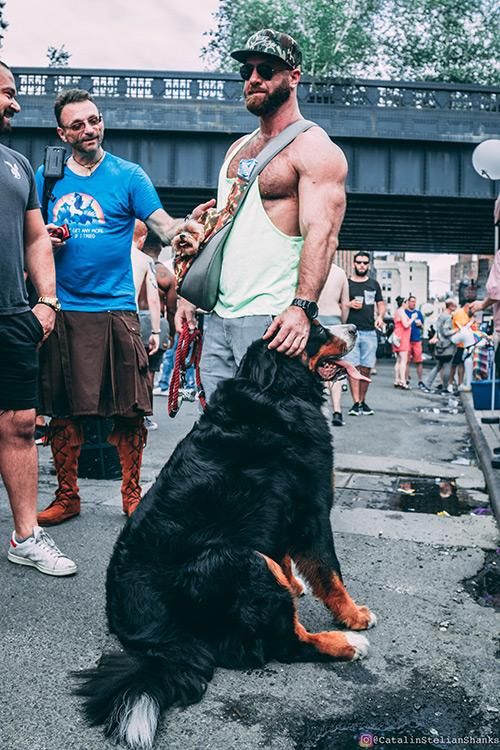 94 Photos of an Urban Bear Rampage in NYC