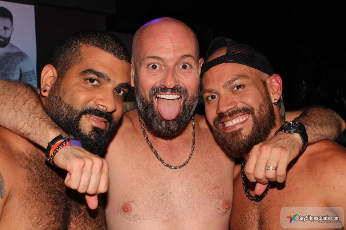 59 Photos of Bears and Admirers in Spanish Paradise