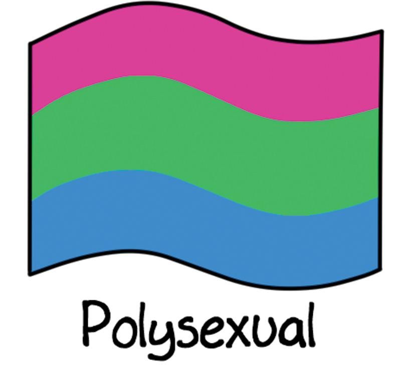 30 Pride Flags You Should Know