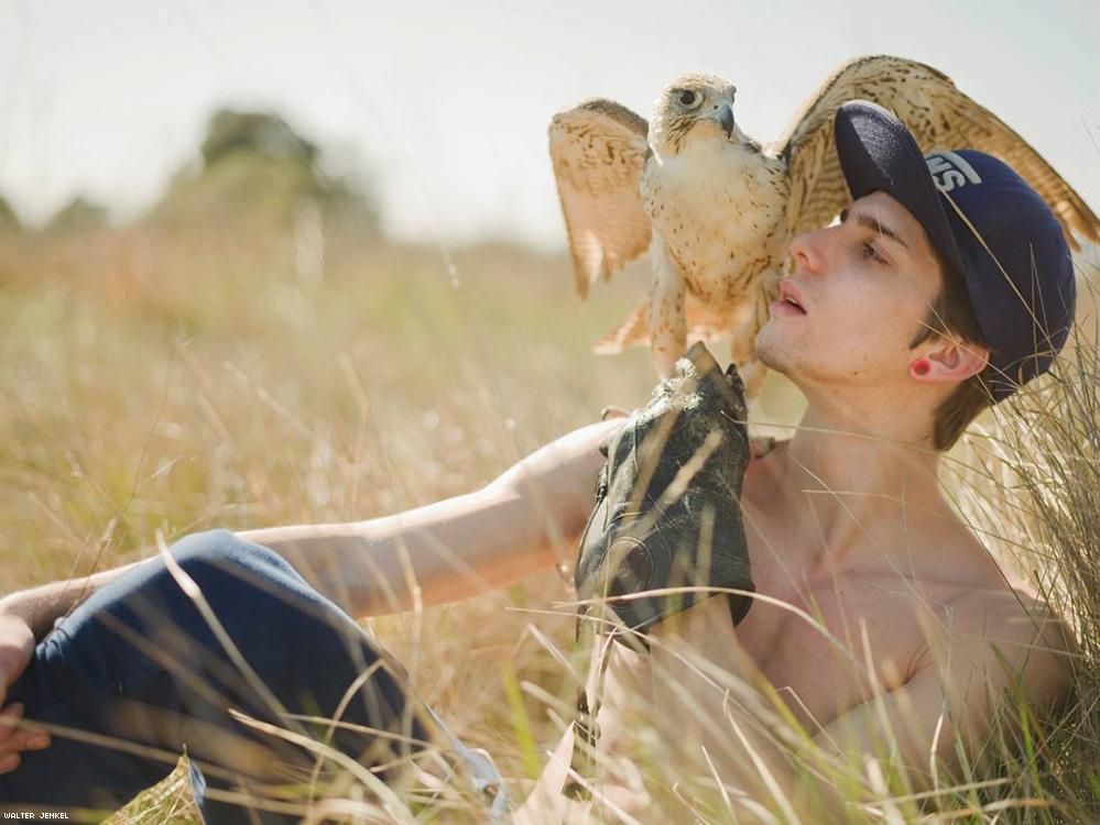 25 Stunning Photos of Birds and Other Creatures by Walter Jenkel