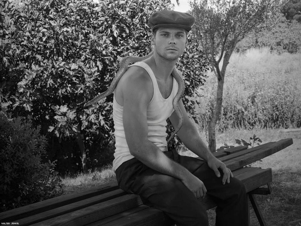 25 Stunning Photos of Birds and Other Creatures by Walter Jenkel