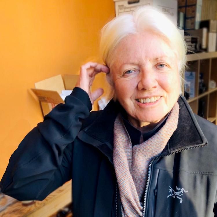 Ann Northrop: What We Can Learn from Three Decades of ACT UP