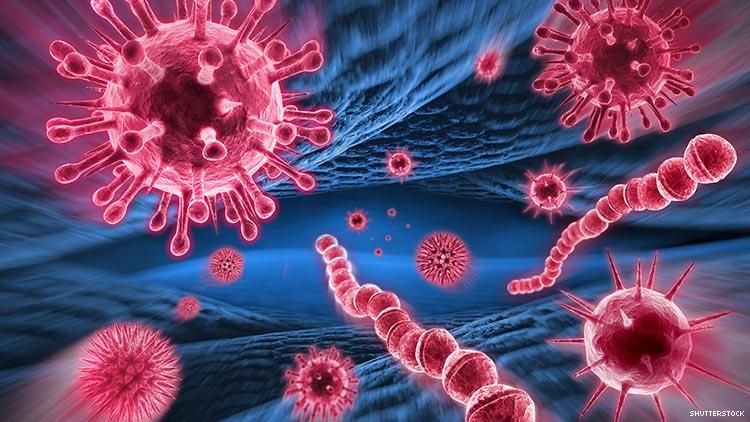 Scientists Discover First New Strain of HIV in Decades