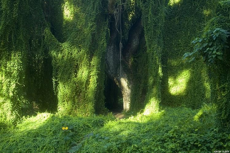 41 Photos Show Cuban Men, Relaxed and Mostly Undressed, by Kevin Slack