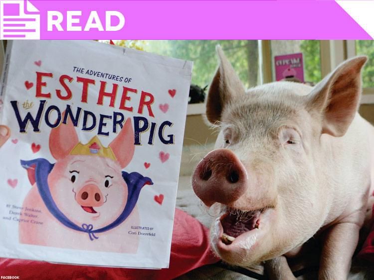 7 Ways to Resist This Week