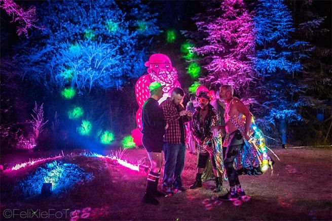 79 Bears of Summer at Lazy Bear Weekend, by Felix Xie