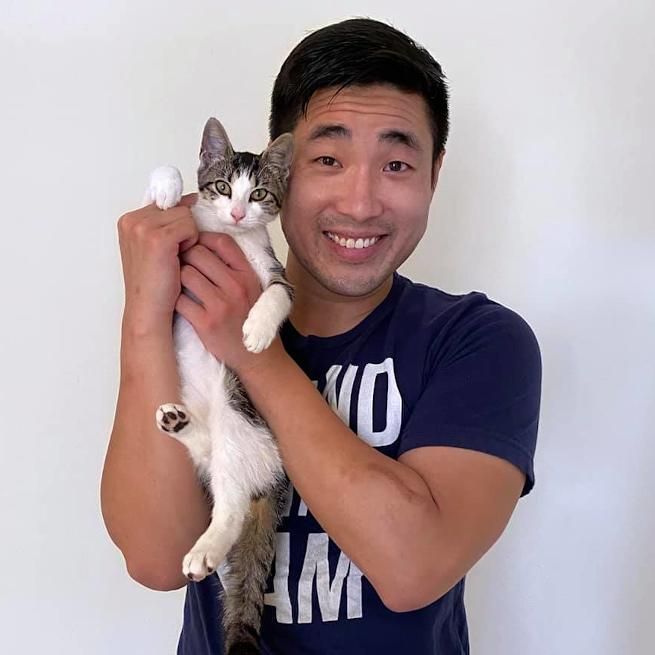 Meet the 2020 'Rainbow Wave' of LGBTQ+ Election Victories